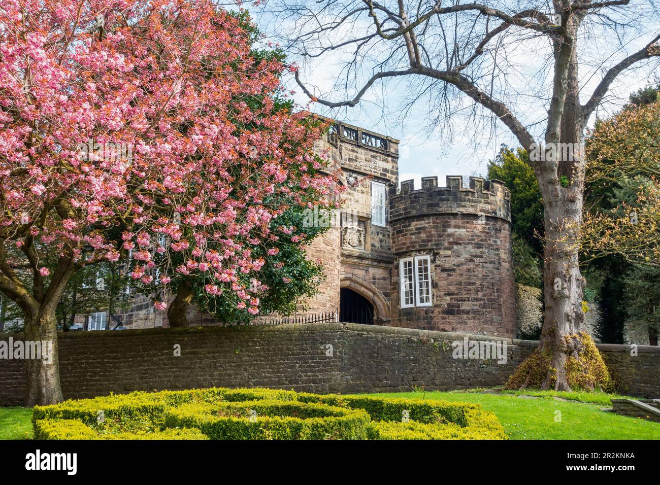 Spring blossom in front of Medieval Keep at Skipton Castle in Skipton ...