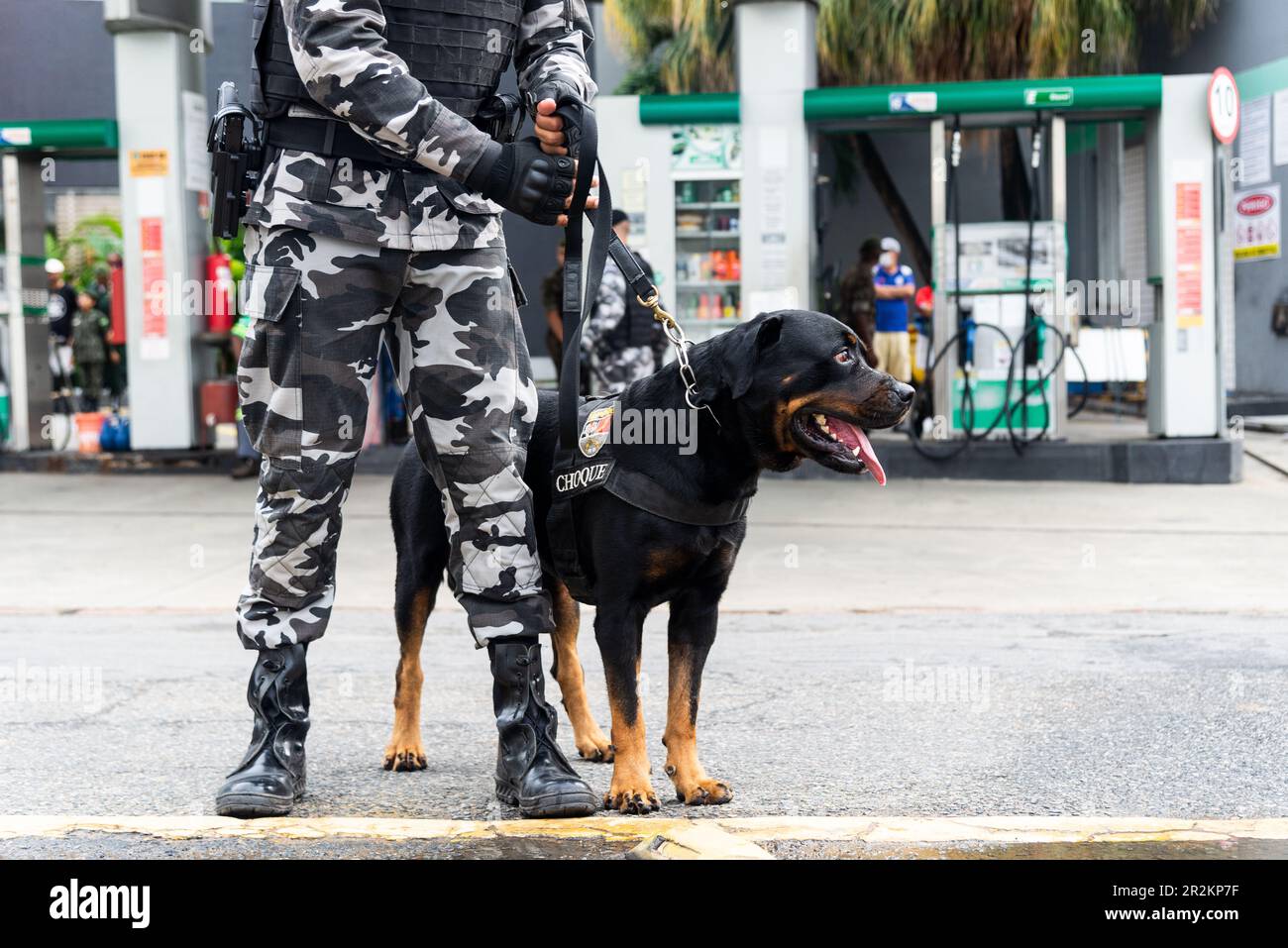 Salvador, Bahia, Brazil - September 07, 2022: Soldier and police dog ...