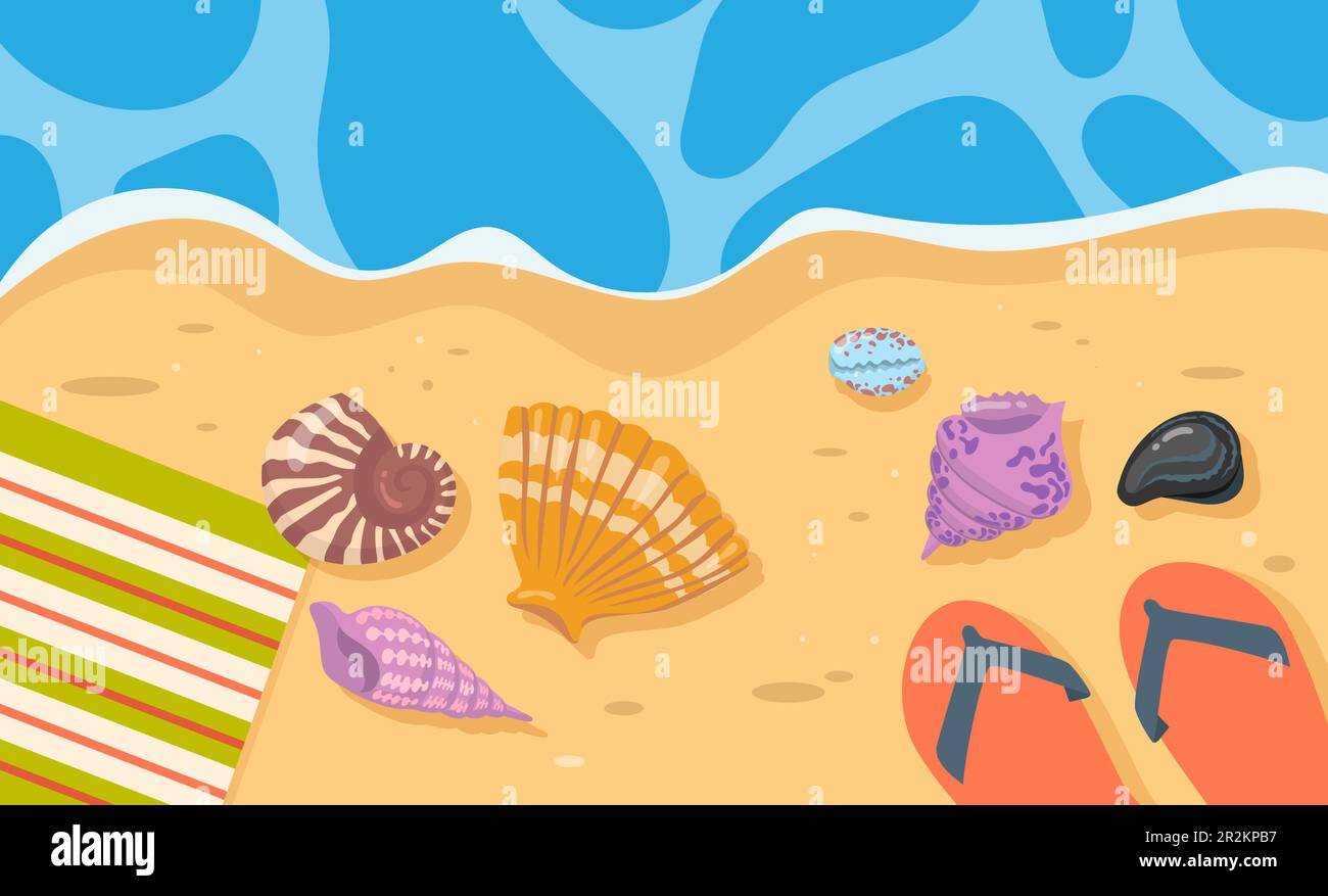 Seashells, towel ad flip-flops on sand cartoon illustration Stock ...