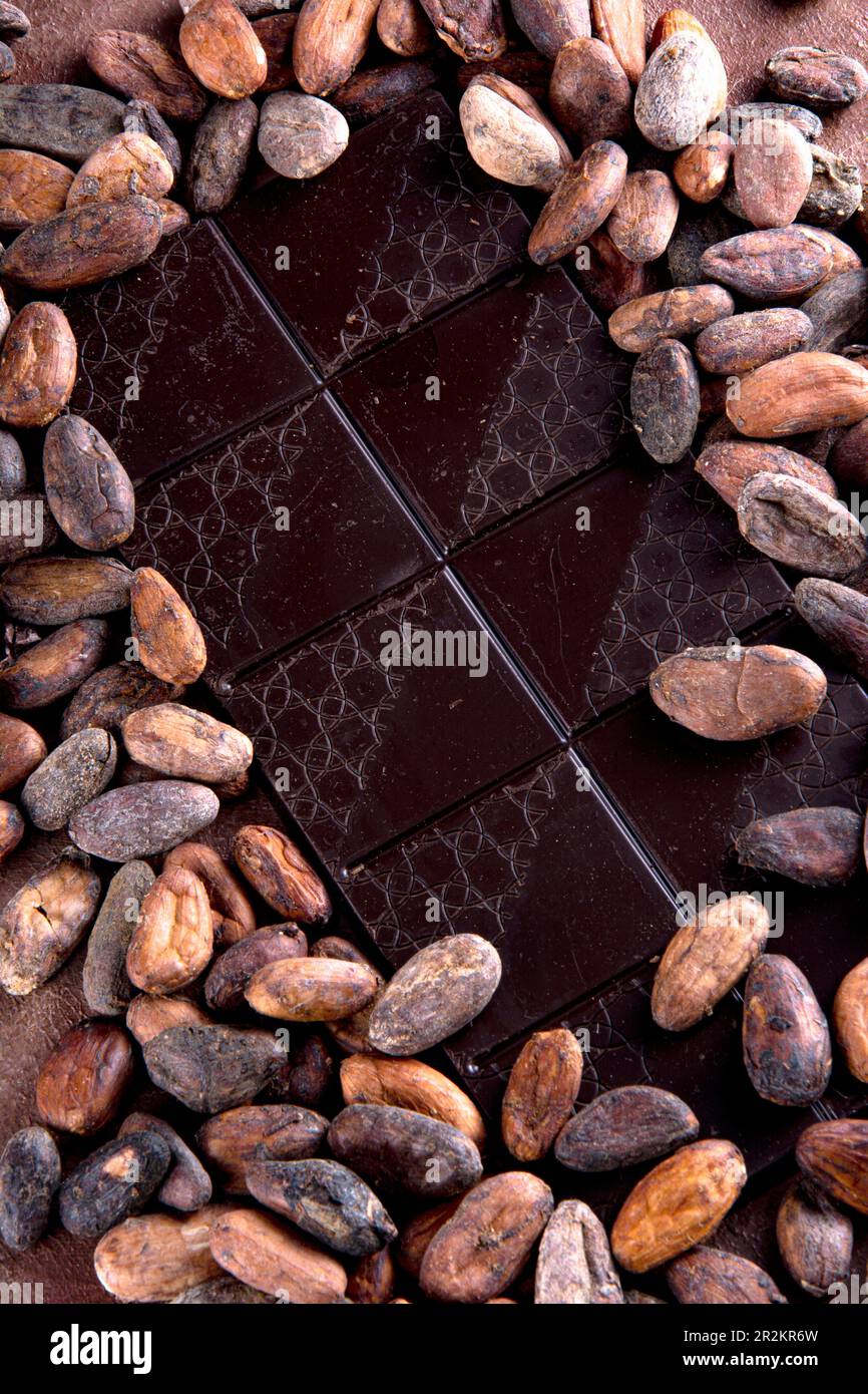 Dark chocolate tablet accompanied with roasted cocoa beans. Studio ...
