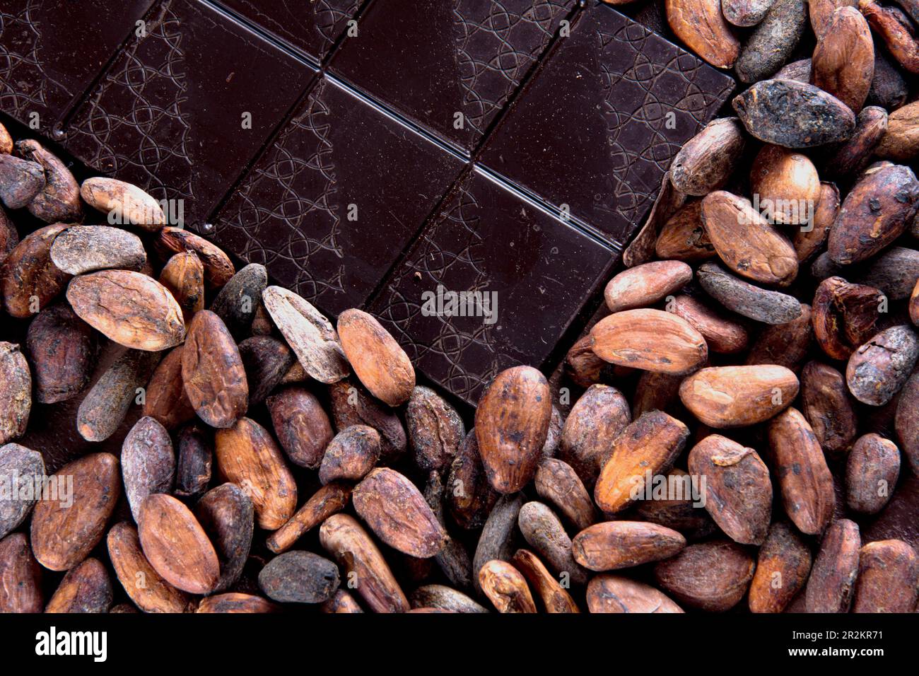 Dark chocolate tablet accompanied with roasted cocoa beans. Studio ...