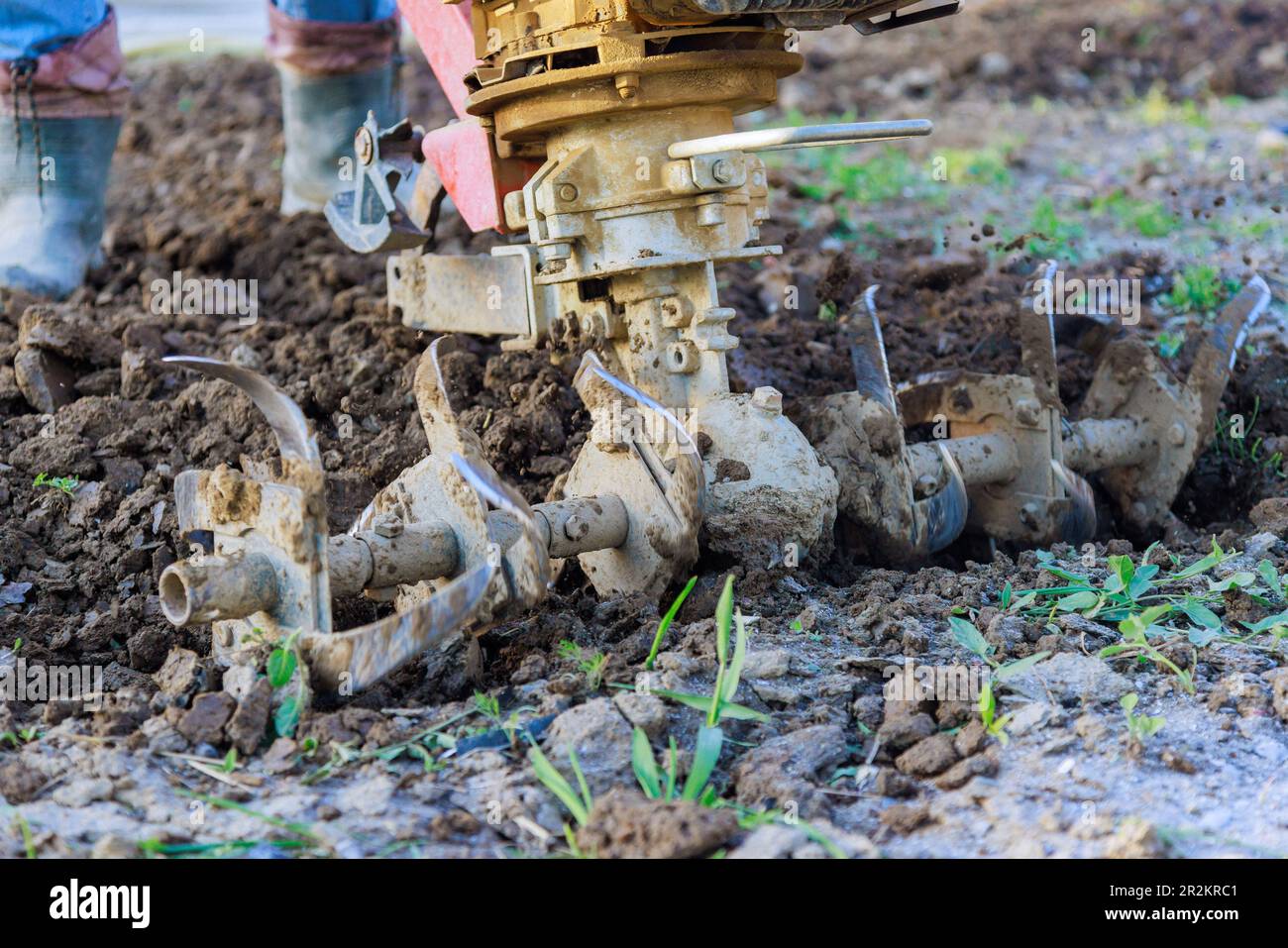 Garden of farmer man is plowing ground with tiller block using motor ...
