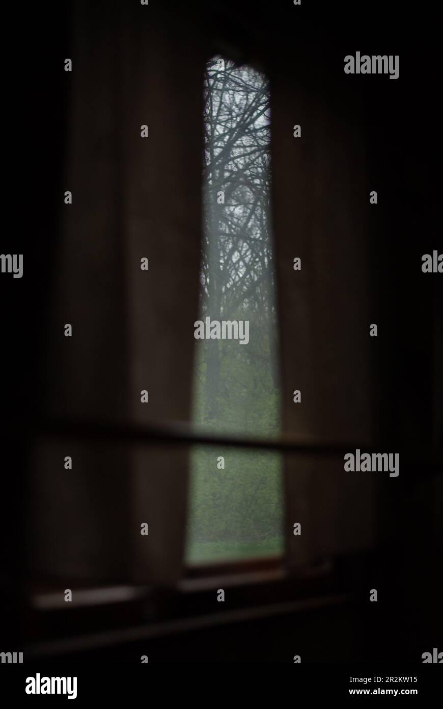 View of green trees through train window Stock Photo - Alamy