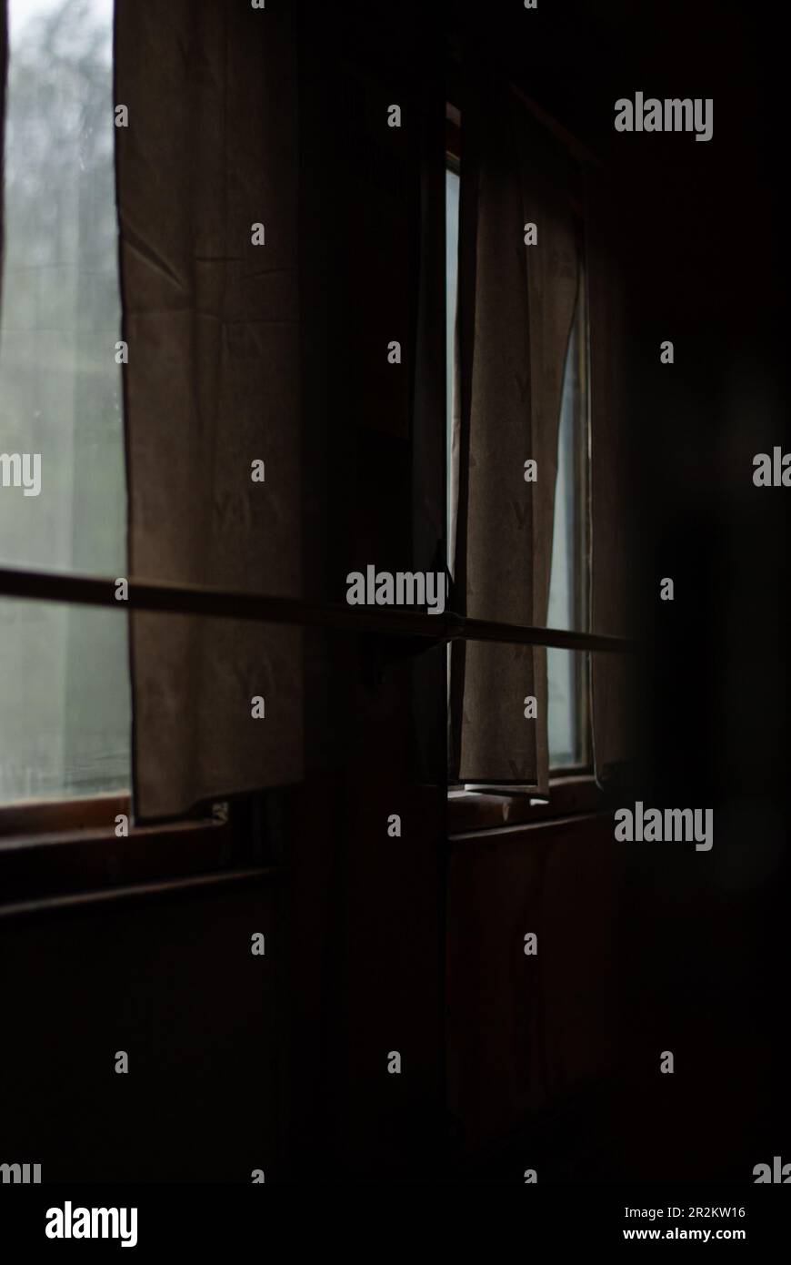 Trees through the window hi-res stock photography and images - Alamy