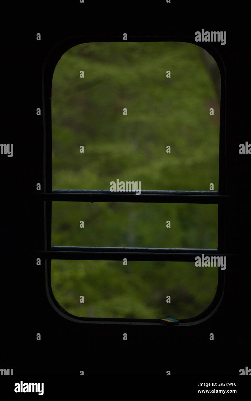 View on buildings in forest hi-res stock photography and images - Alamy