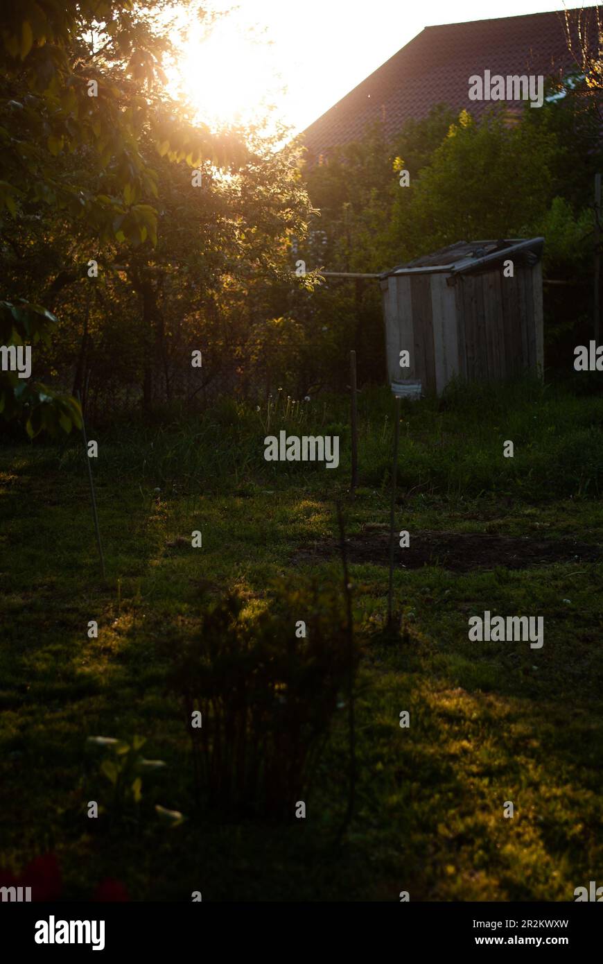 Morning natural view hi-res stock photography and images - Alamy