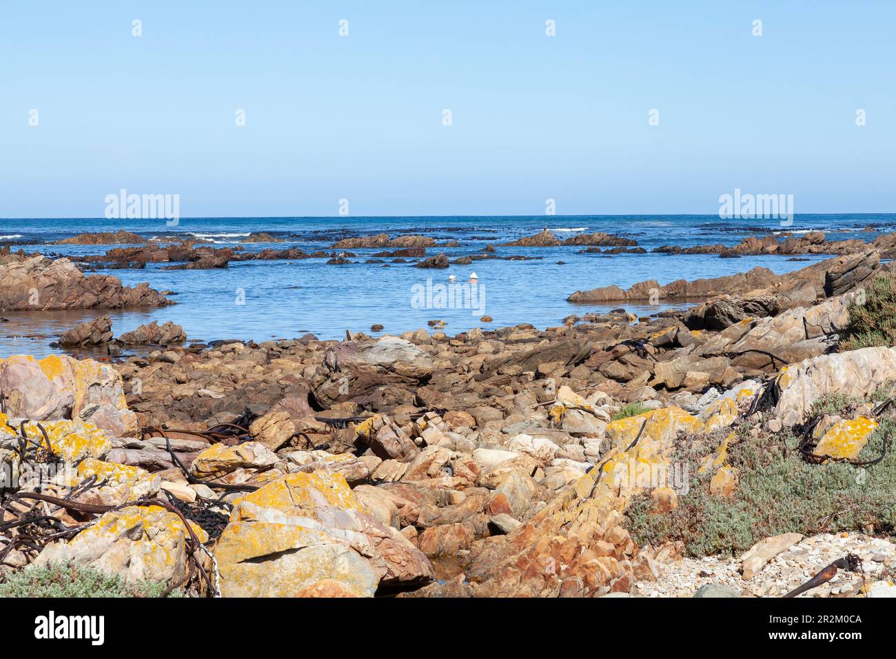 Two ladies enjoying a swim at Davies Pool, Onrus, a popular natural ...