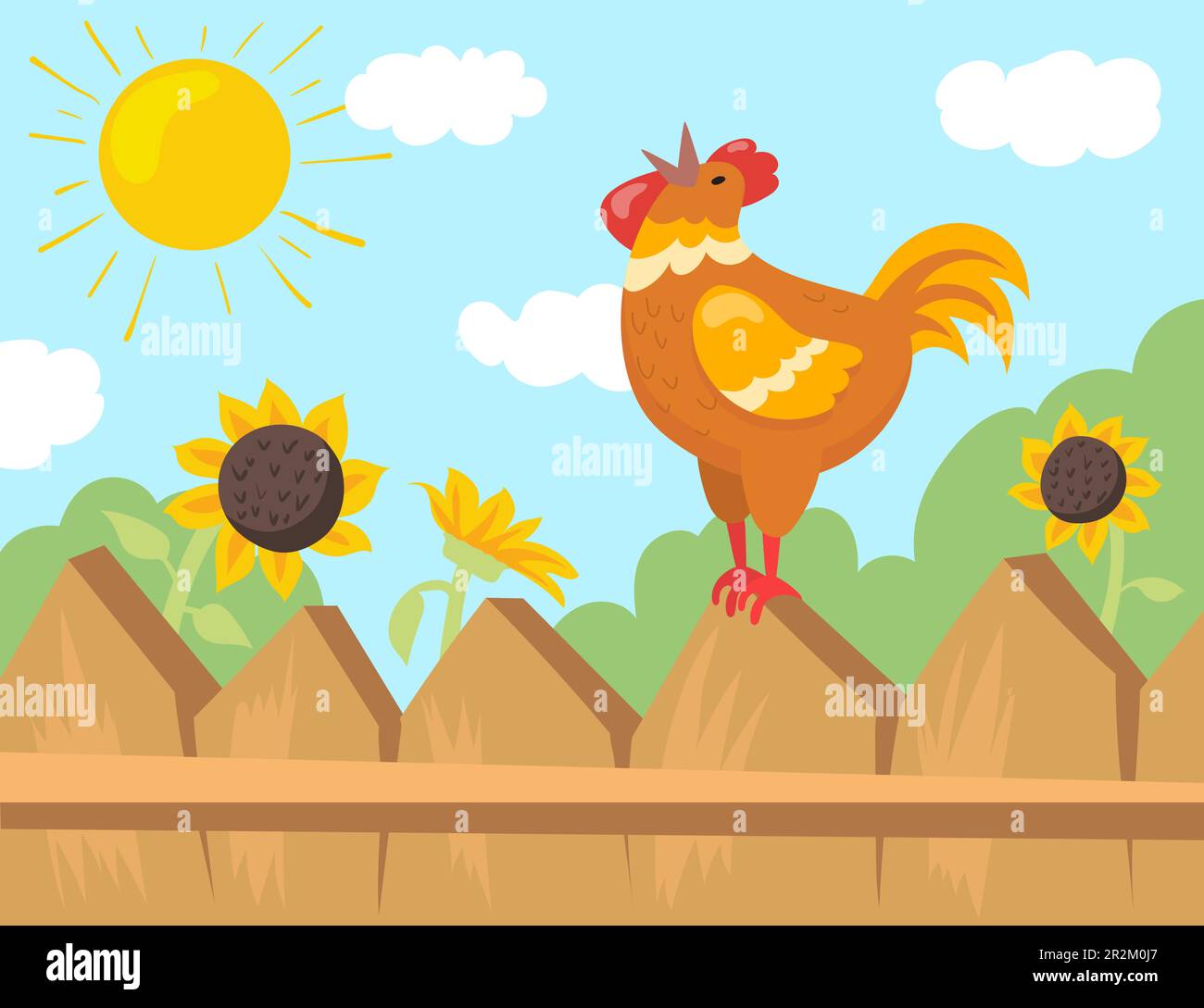 Rooster welcoming sun cartoon illustration Stock Vector Image & Art - Alamy
