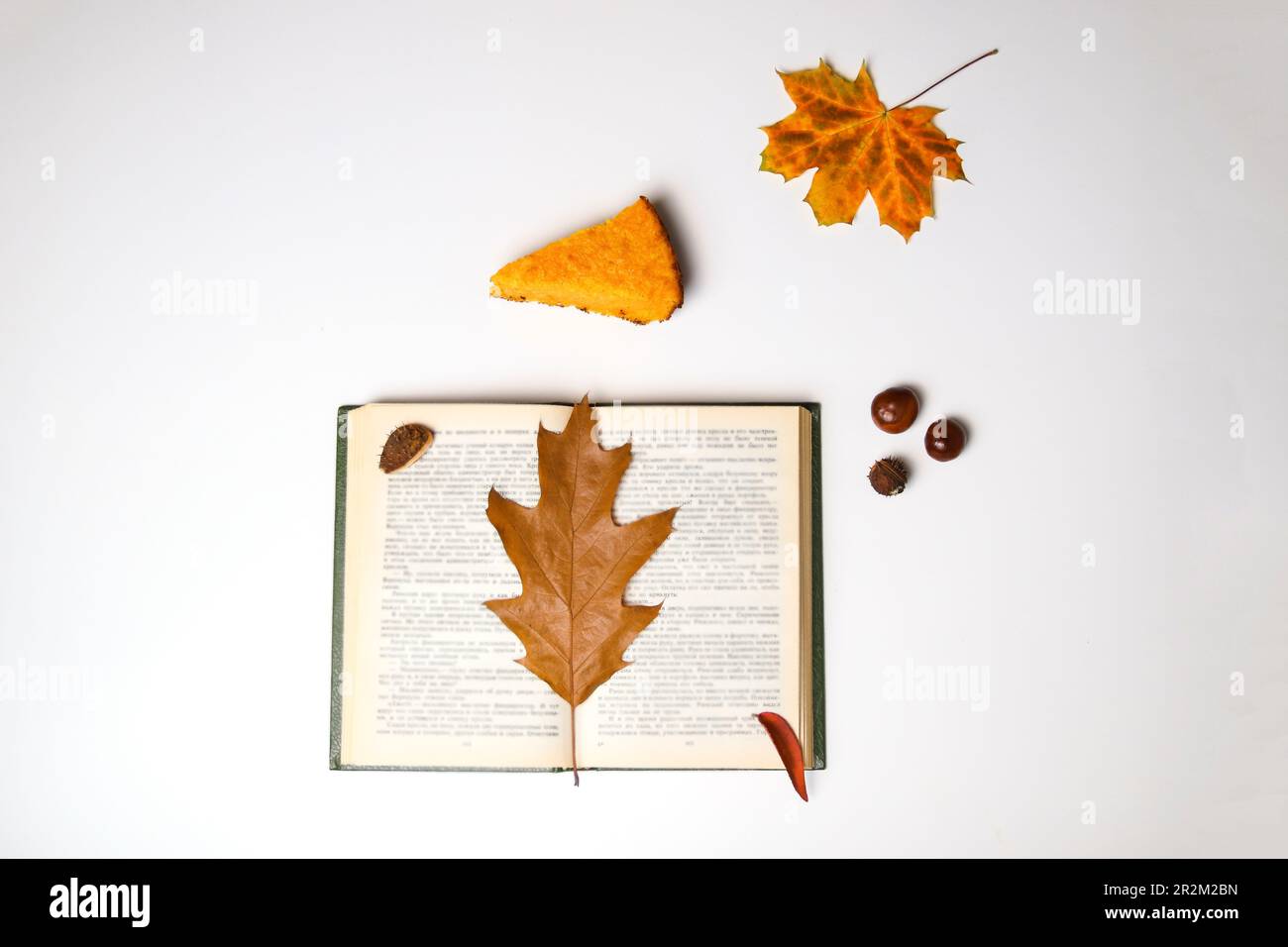 Autumn flatlay: open book adorned with vibrant yellow leaves, creating ...