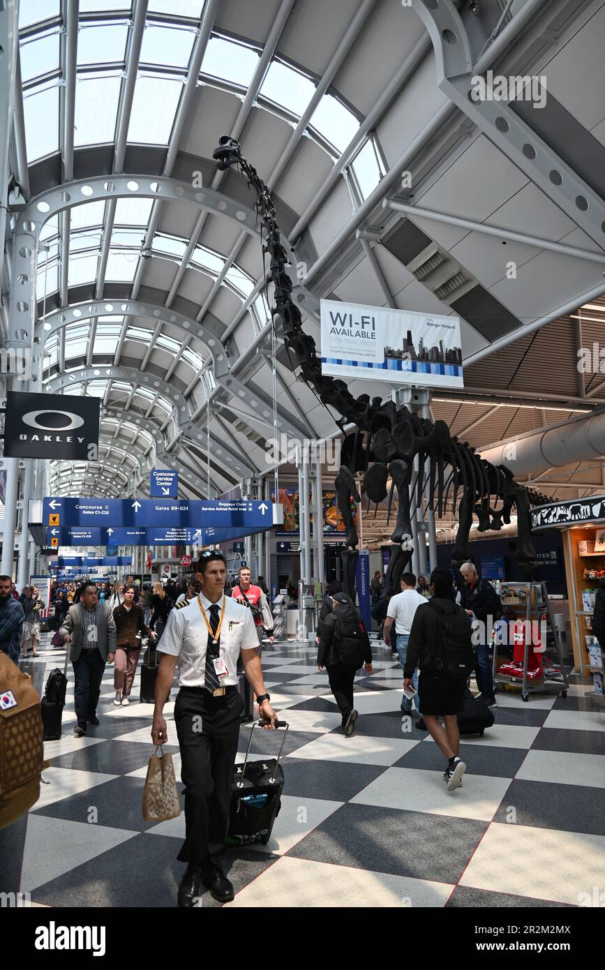 Travelers walk past the 45-foot tall brachiosaurus skeleton in ...