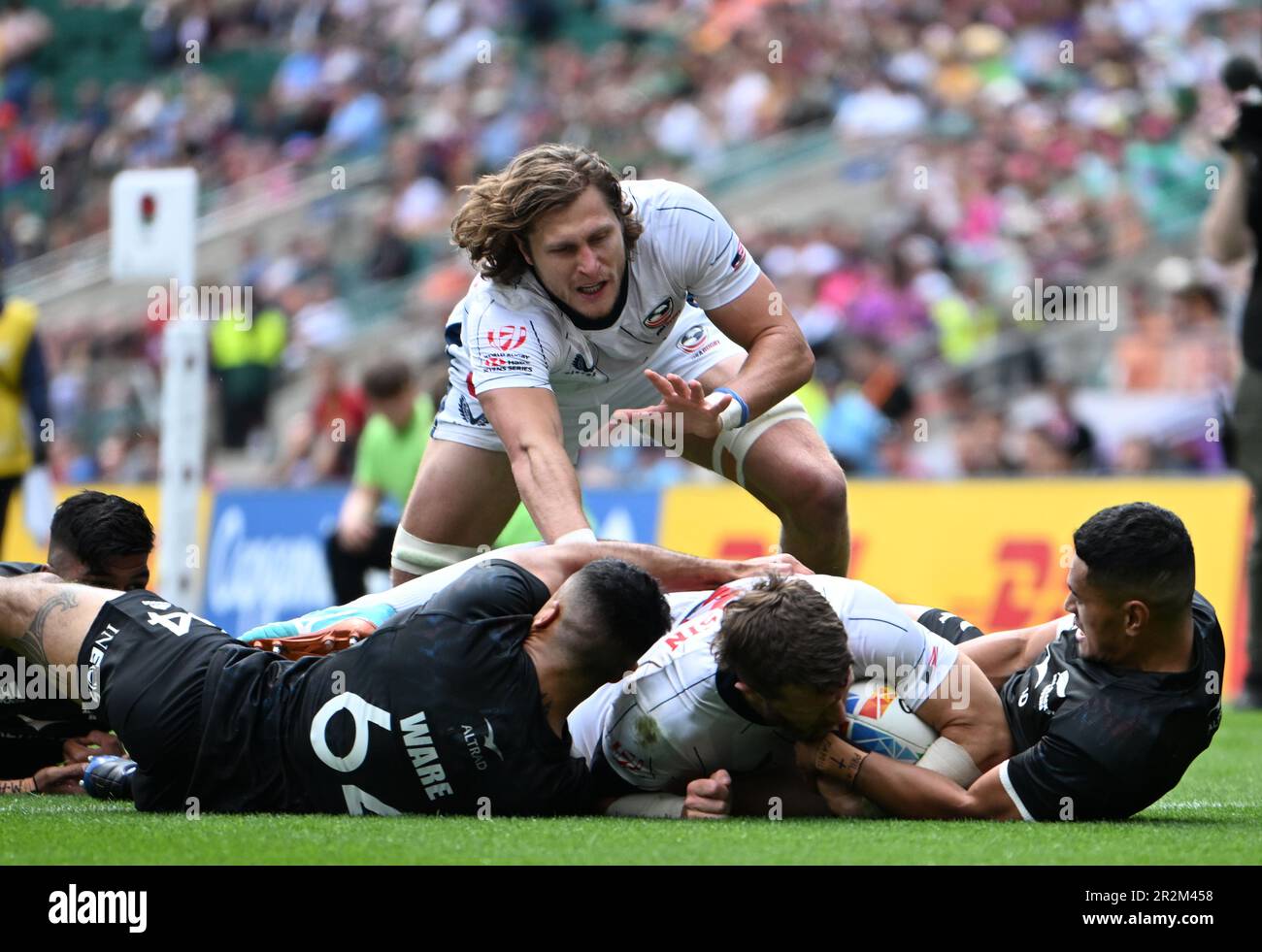 Tomasin hi-res stock photography and images - Alamy