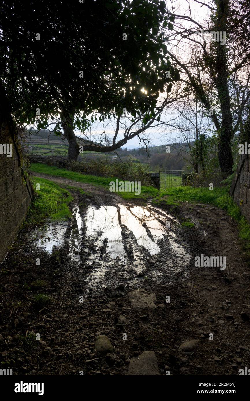 Puddle of water in the middle of the road when leaving the tunnel after ...