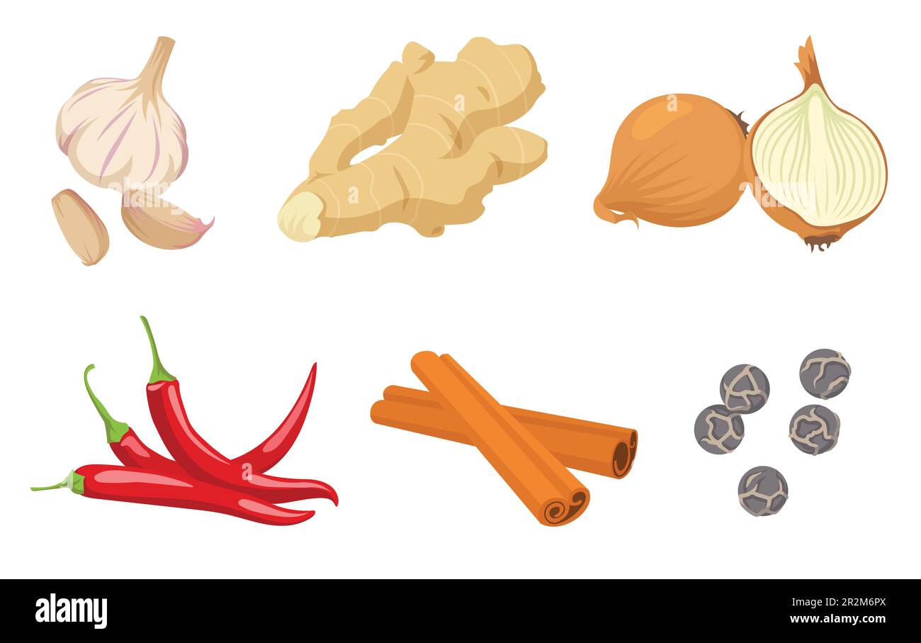 Collection of spicy spices and vegetables Stock Vector Image & Art - Alamy