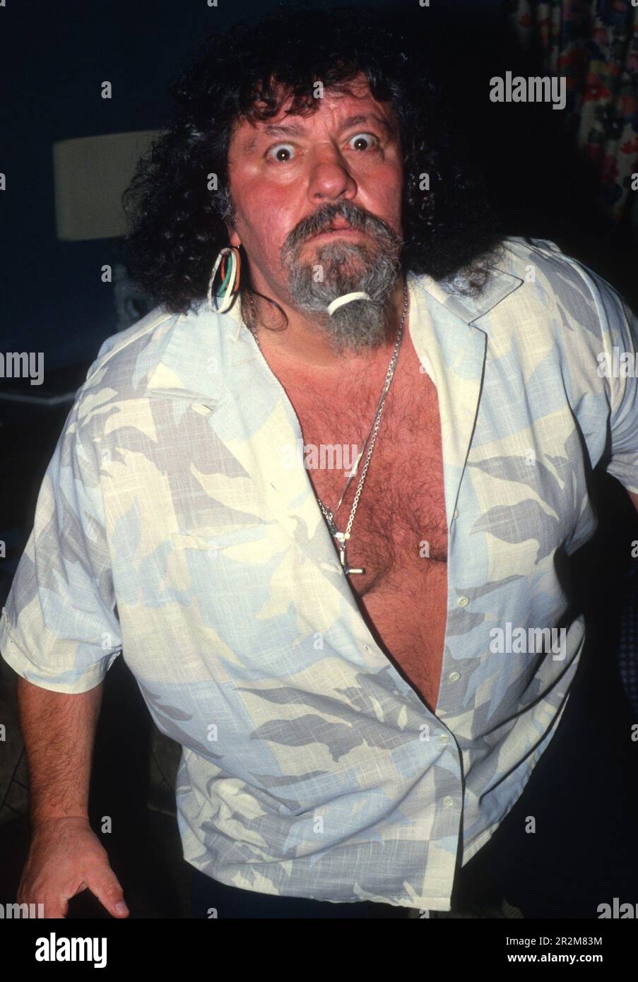 Lou Albano Workaholics