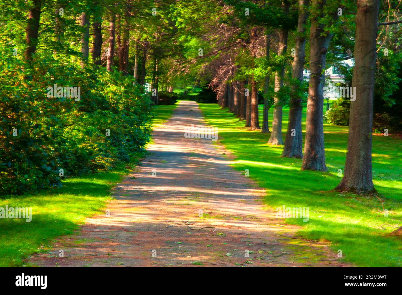 Artistic landscapes with a variety of views and reflections Stock Photo ...