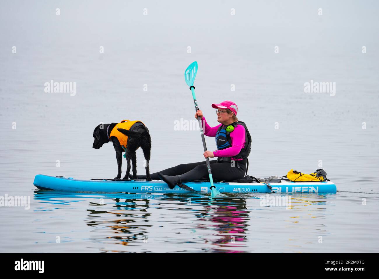 Water pollution protest hi-res stock photography and images - Alamy