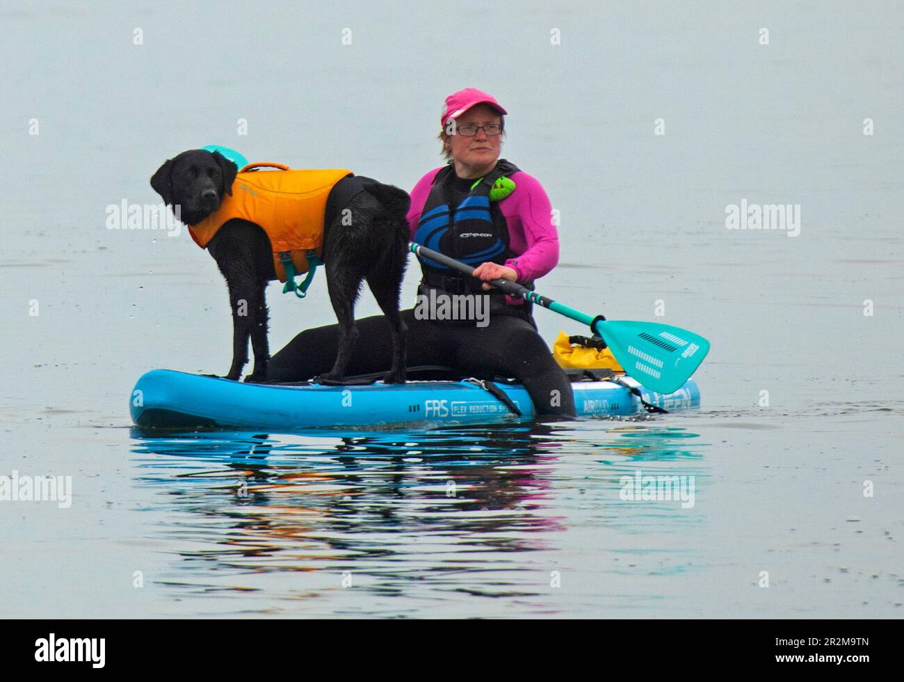 Portobello, Edinburgh, Scotland, UK. Surfers against sewage. Surfboards ...