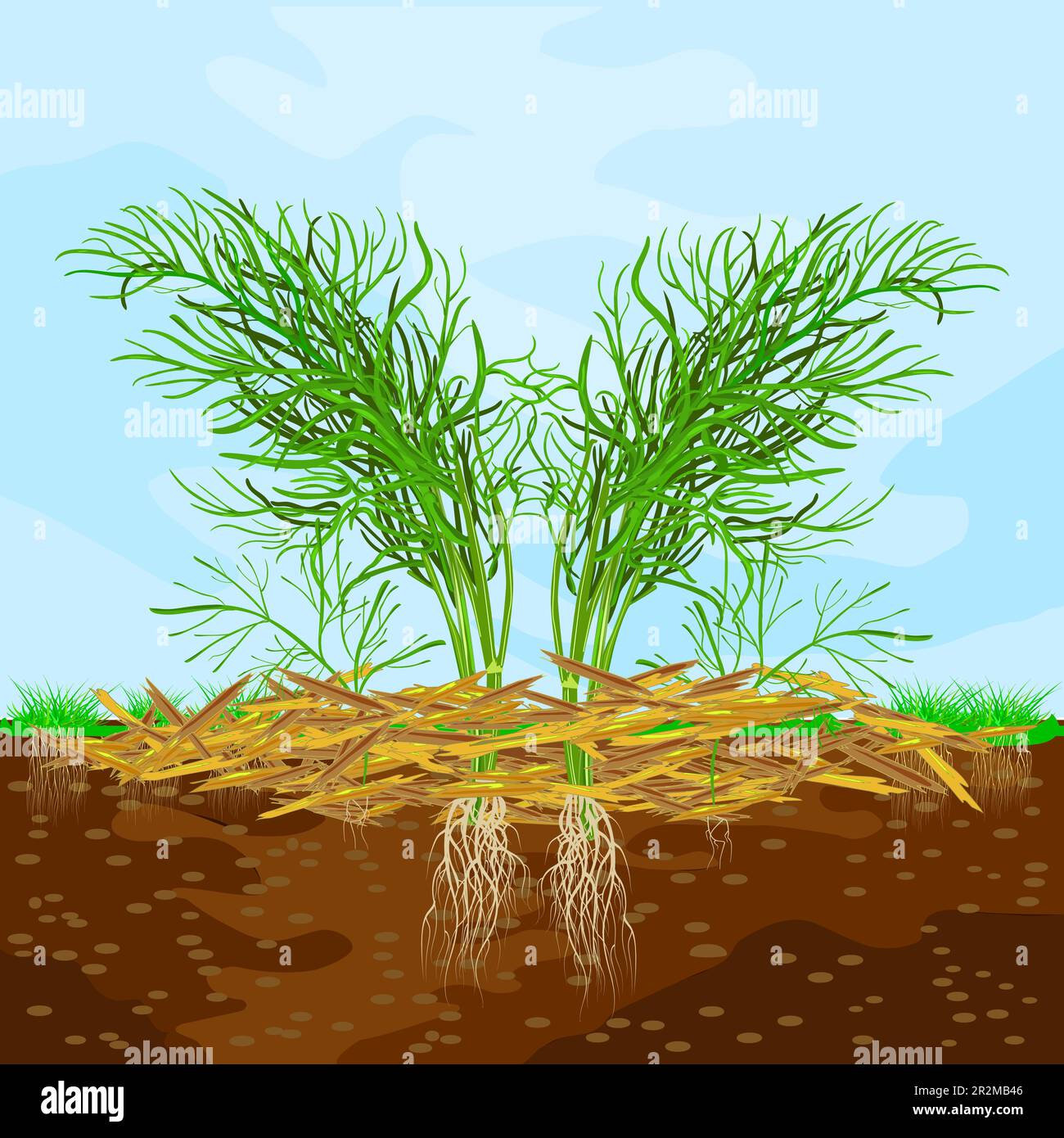 Mulch spreading garden Stock Vector Images - Alamy