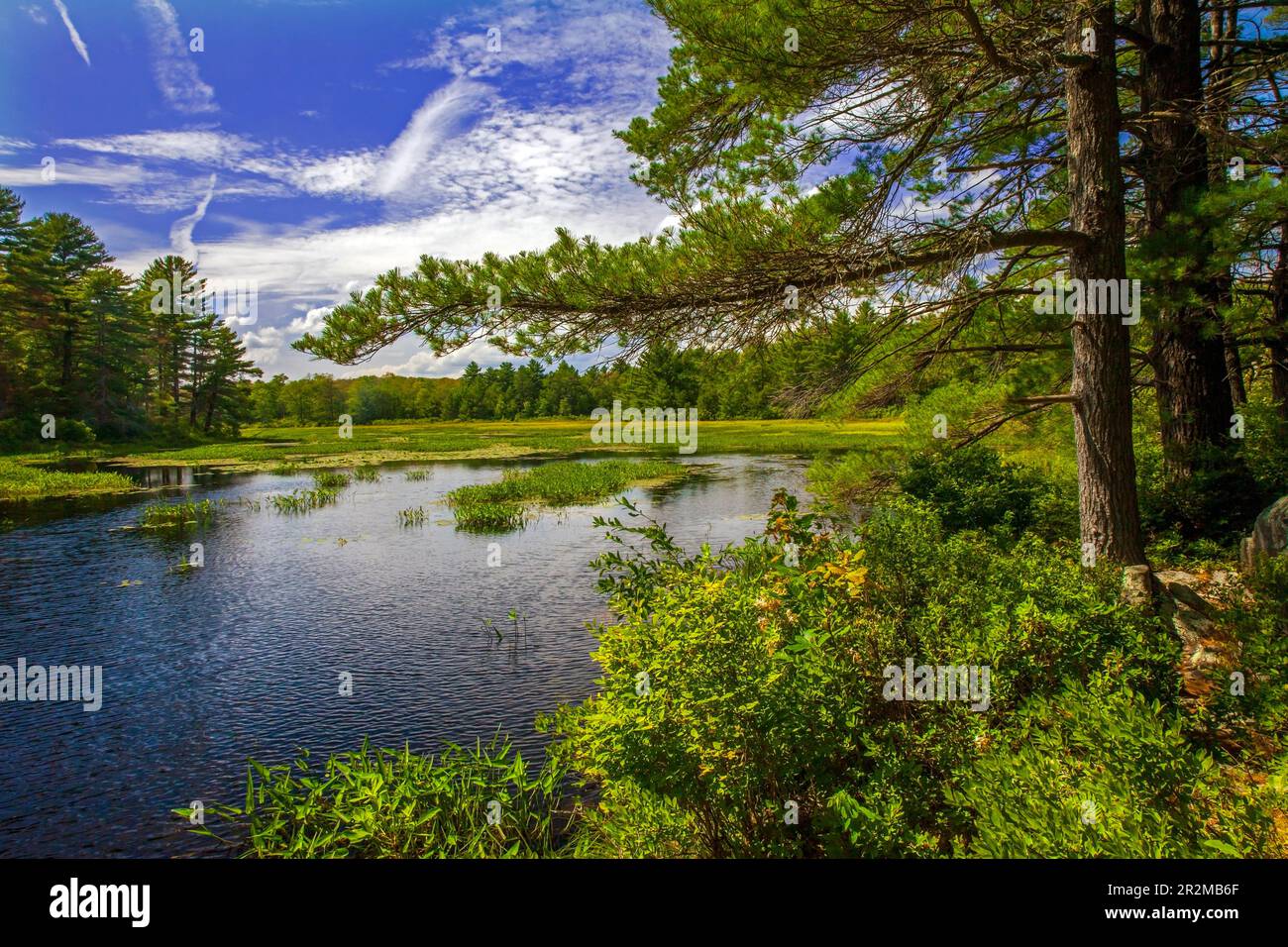 Billings Pond is a human made wetland in Pennsylvania's Pocono ...