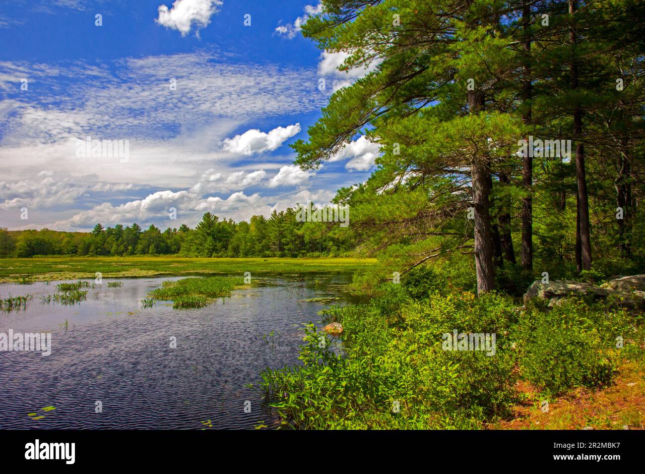 Billings Pond is a human made wetland in Pennsylvania's Pocono ...