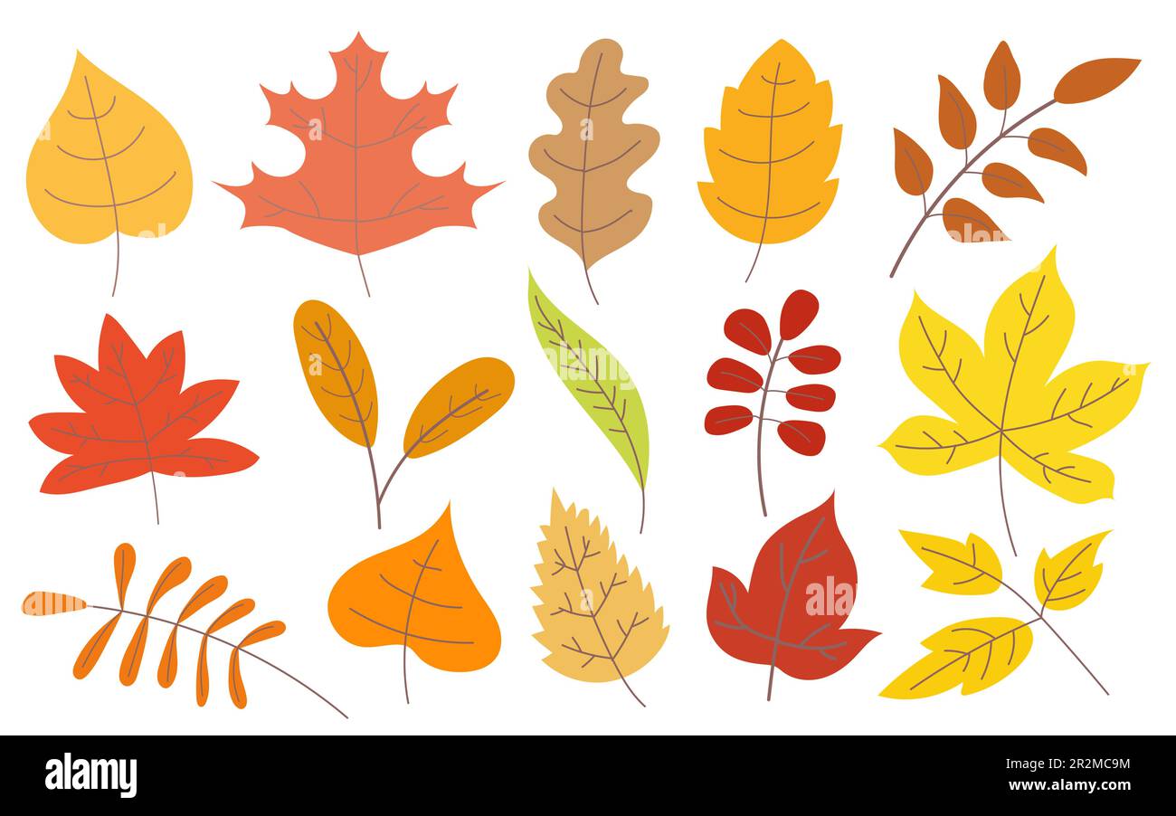 Various autumn leaves cartoon illustration set Stock Vector Image & Art ...