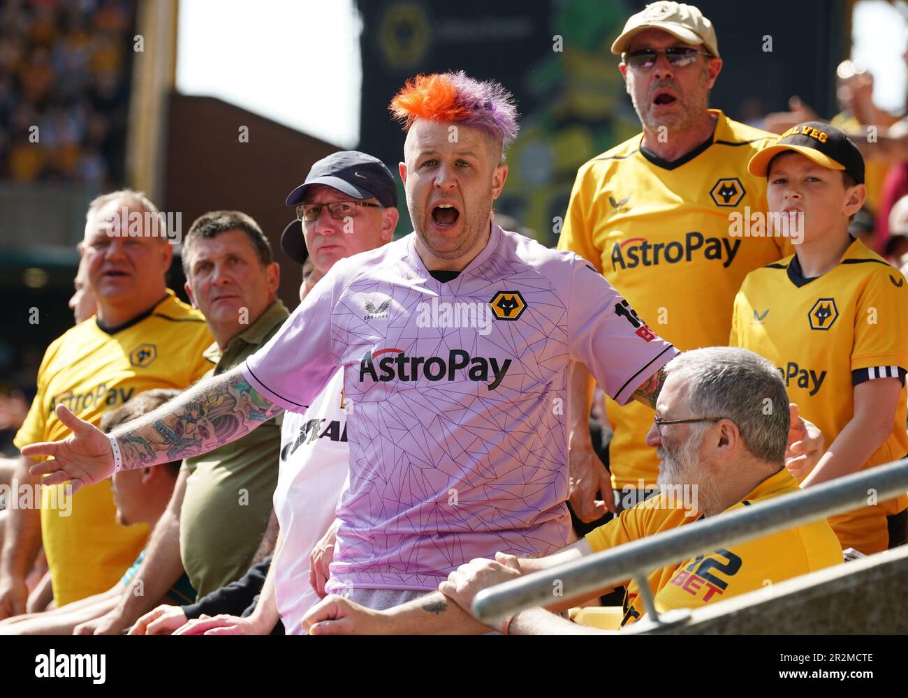 Wolverhampton wanderers fans hi-res stock photography and images - Alamy