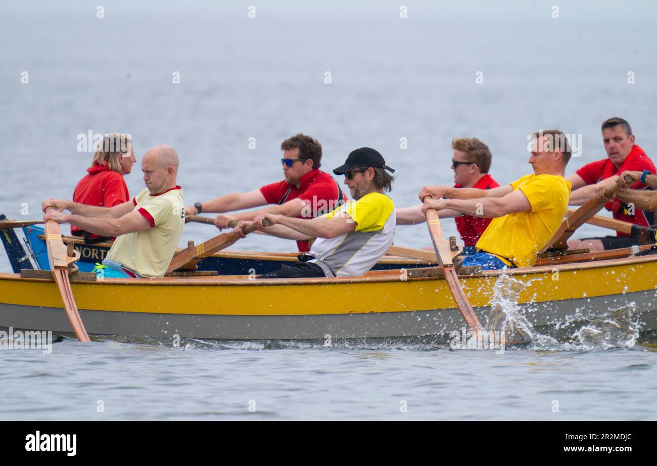 Eastern amateur coastal rowing club hi-res stock photography and images ...
