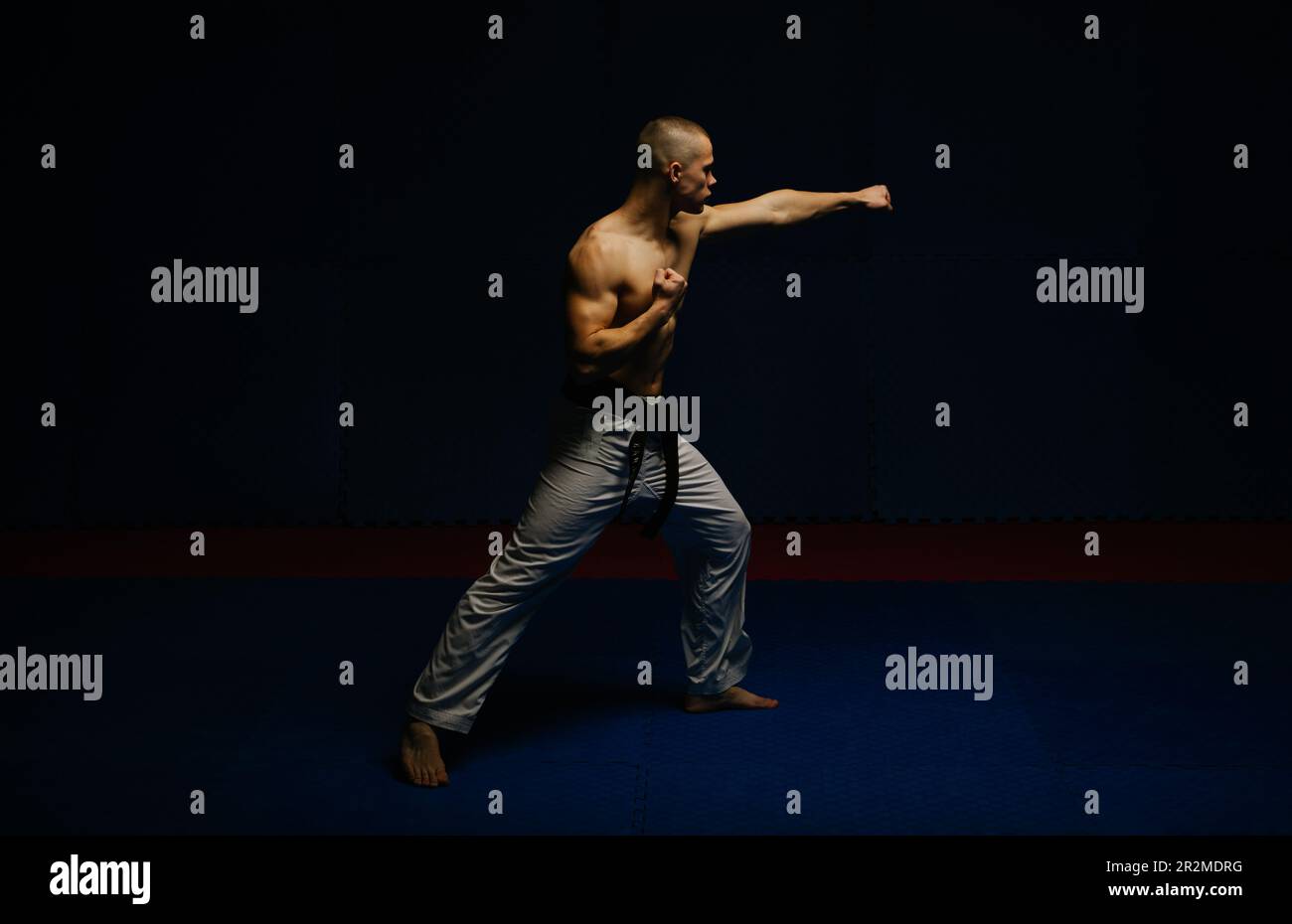 Silhouette of a young karatist doing a Kizami tsuki pose at the karate ...