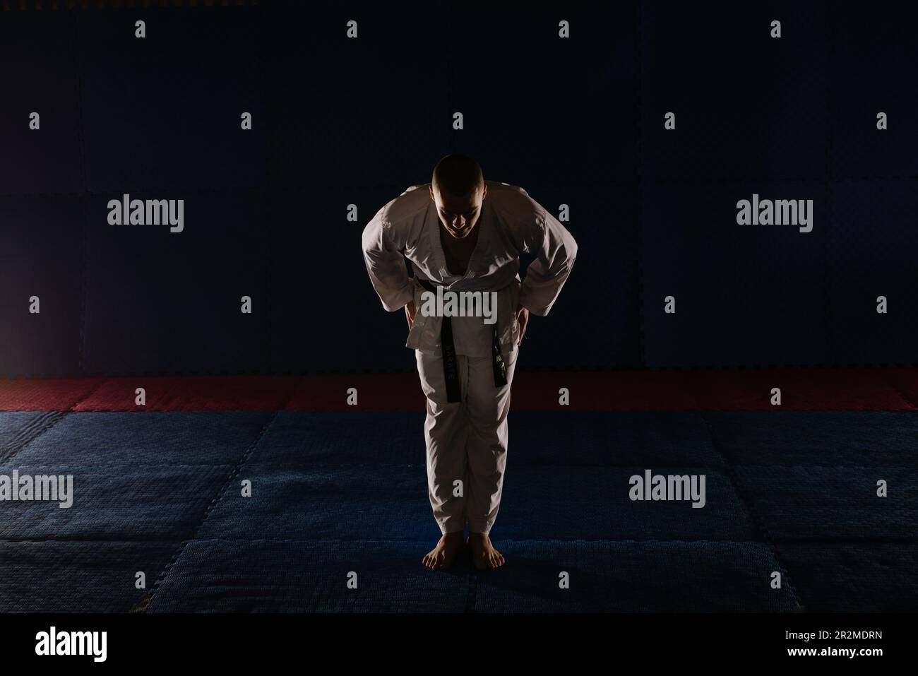 Teen karate boy bowing at the karate studio while standing Stock Photo ...