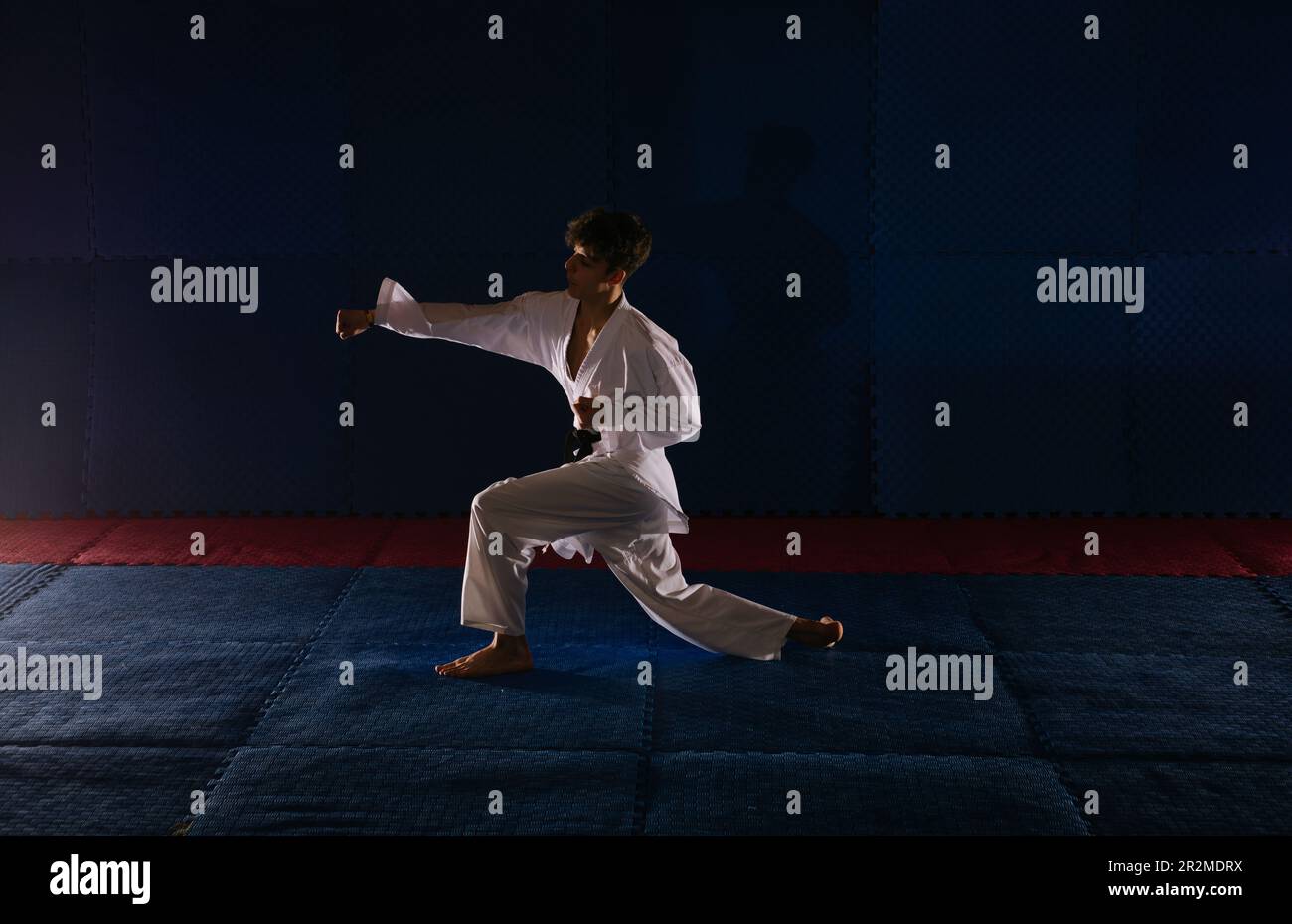 Kizami tsuki hi-res stock photography and images - Alamy