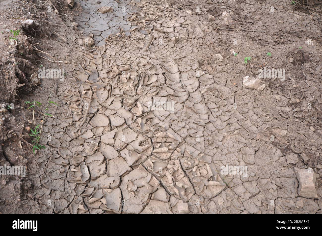 Water Infiltration In Soil