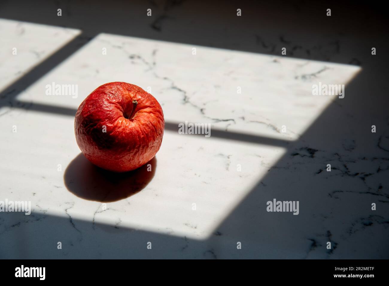 Red dry rotten unhealthy apple on a table. Unhealthy unhygienic fruit ...