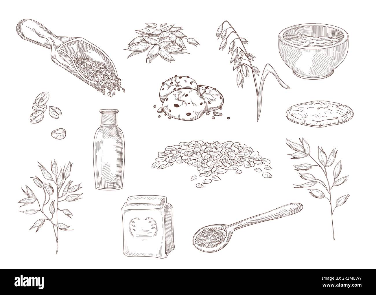 Hand drawn vintage sketch of ways of using oats Stock Vector Image ...