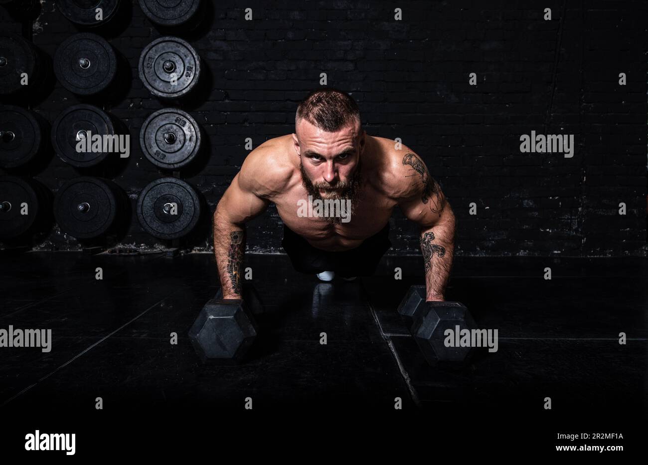 Young active strong sweaty focused fit muscular man with big muscles ...