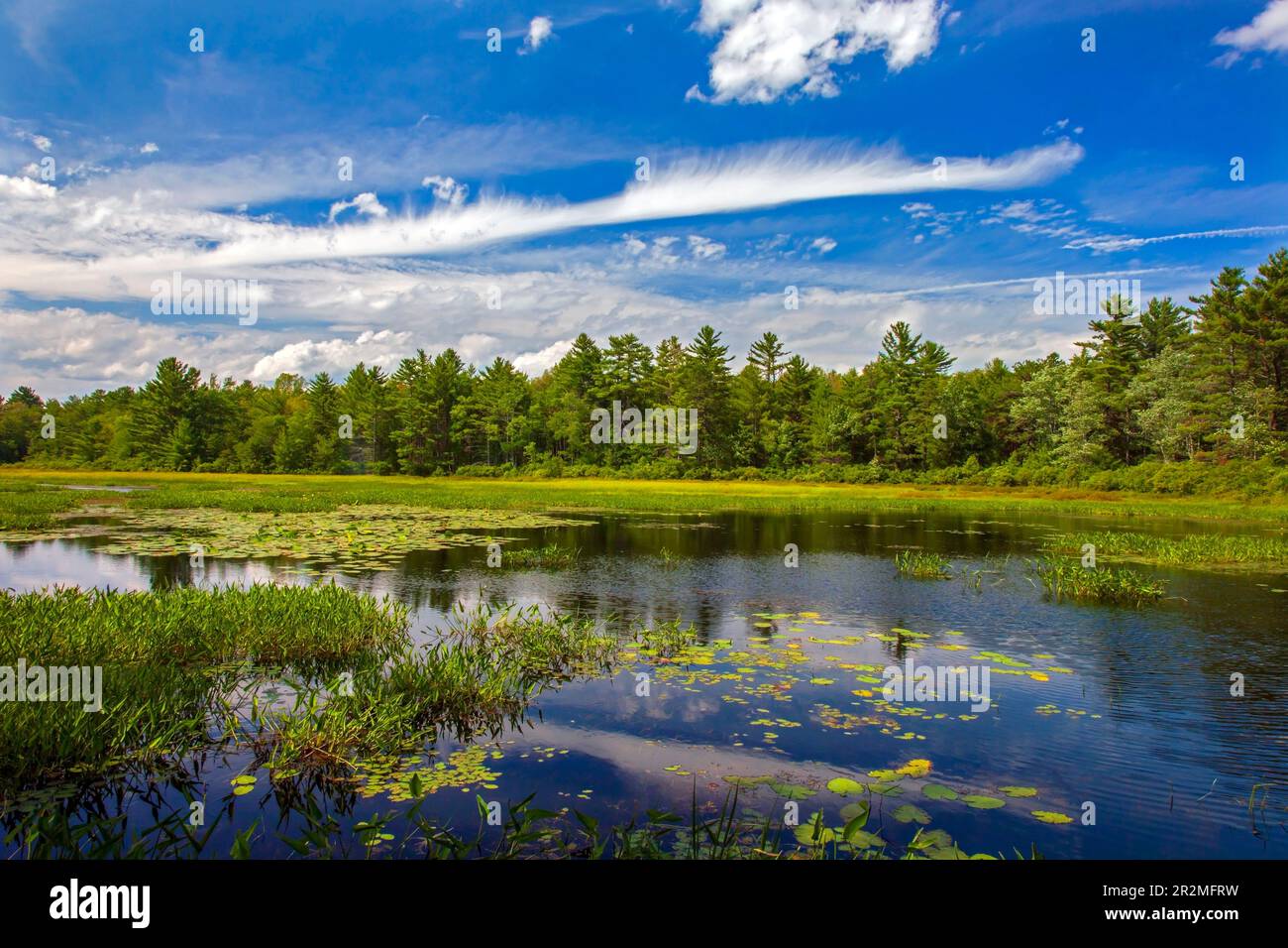 Billings Pond is a human made wetland in Pennsylvania's Pocono ...