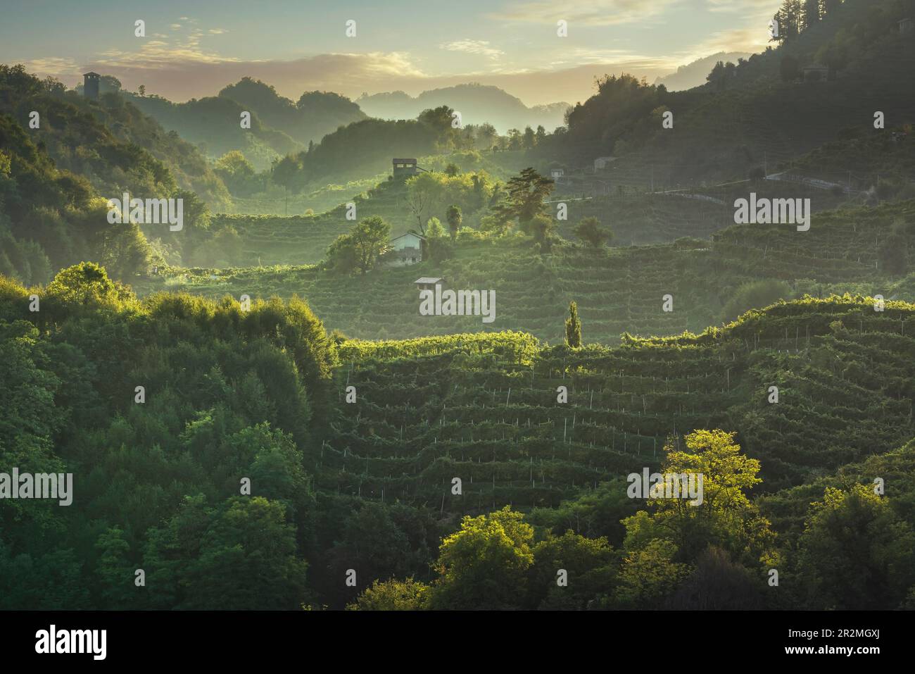 Prosecco Hills hogback, wild landscape with steep vineyards at sunset ...