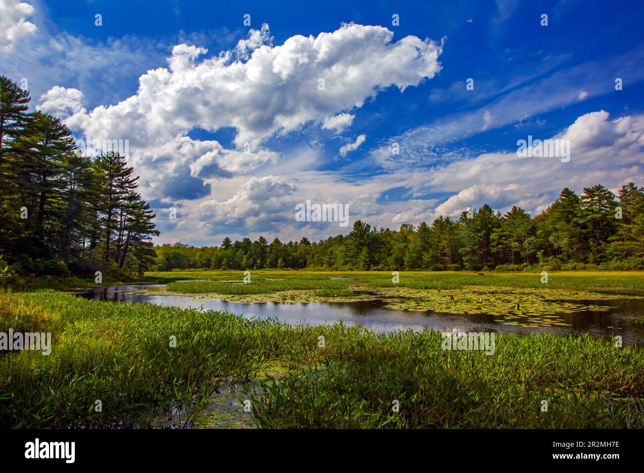 Billings Pond is a human made wetland in Pennsylvania's Pocono ...