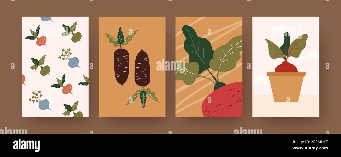Set of contemporary art posters with root vegetables Stock Vector Image ...