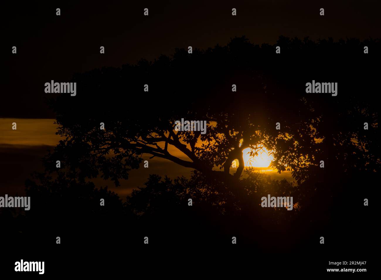 African landscape sunset hi-res stock photography and images - Alamy