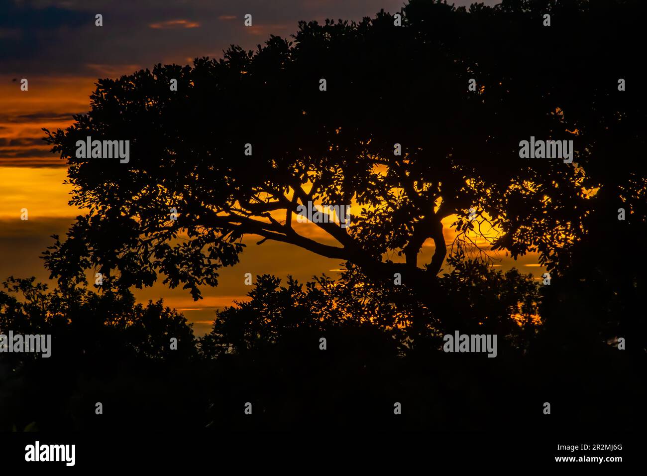 African horizon hi-res stock photography and images - Alamy