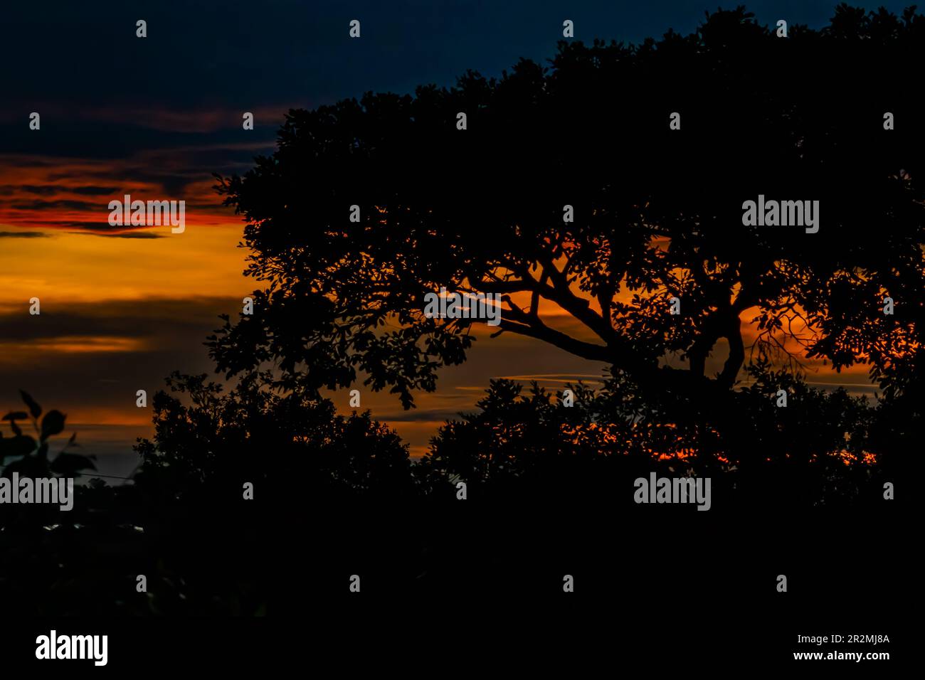 African horizon hi-res stock photography and images - Alamy