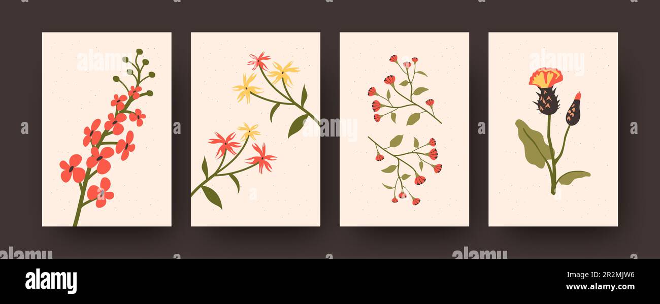 Beautiful mimosa Stock Vector Images - Alamy