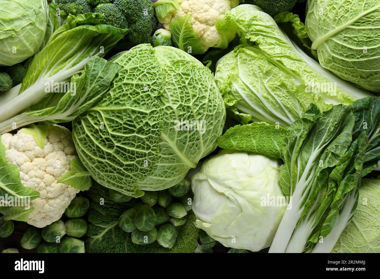 Types of brussels sprouts hi-res stock photography and images - Alamy