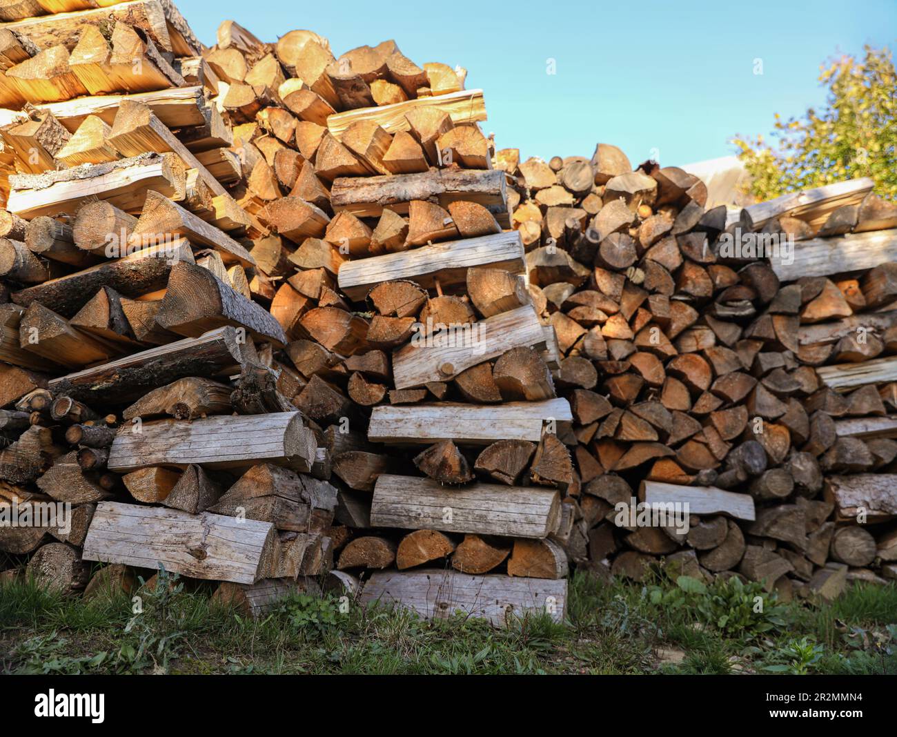 Piles of dry stacked firewood in grass outdoors Stock Photo - Alamy