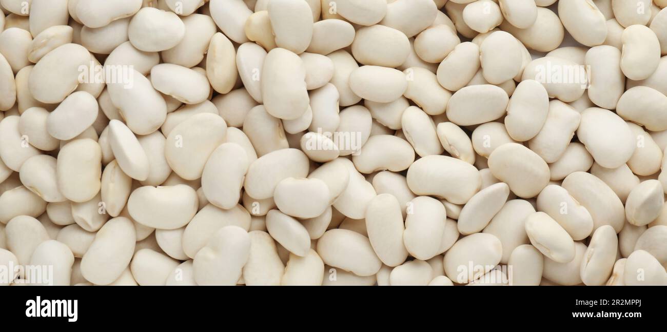 White beans as background, top view. Banner design Stock Photo - Alamy