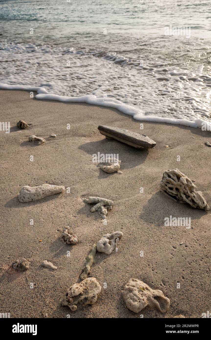 Dead coral hi-res stock photography and images - Alamy