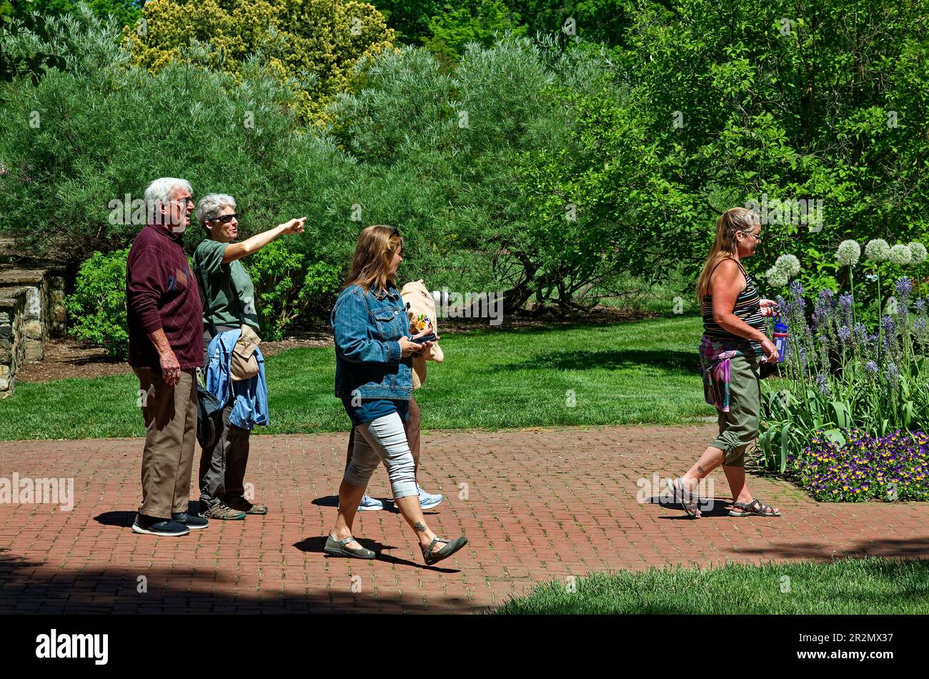 family walking, motion, brick path, outdoors, green grass, trees ...