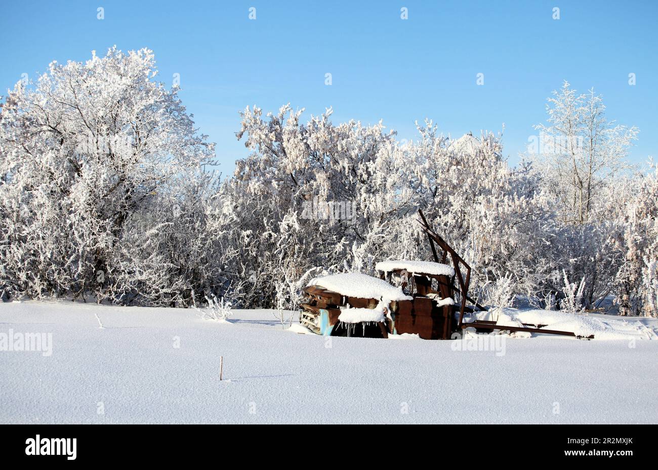 Hoar frost makes a winter wonderland around Marsden, Saskatchewan Stock ...