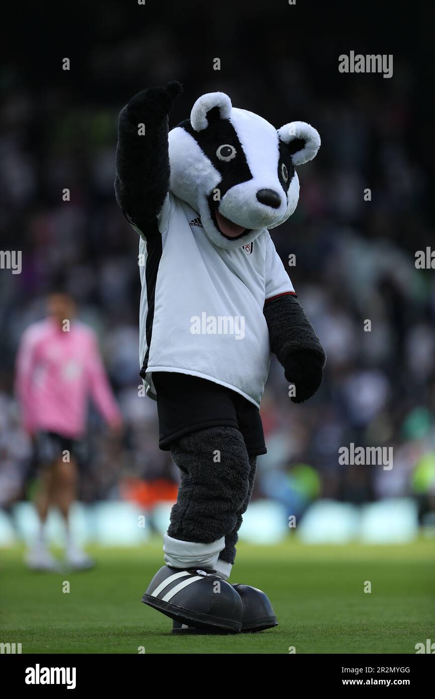 Team badger hi-res stock photography and images - Alamy