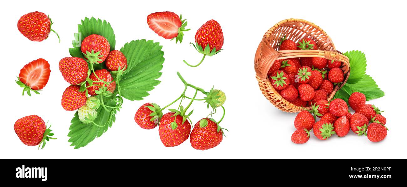 Strawberries decorated with green leaves isolated on white background ...